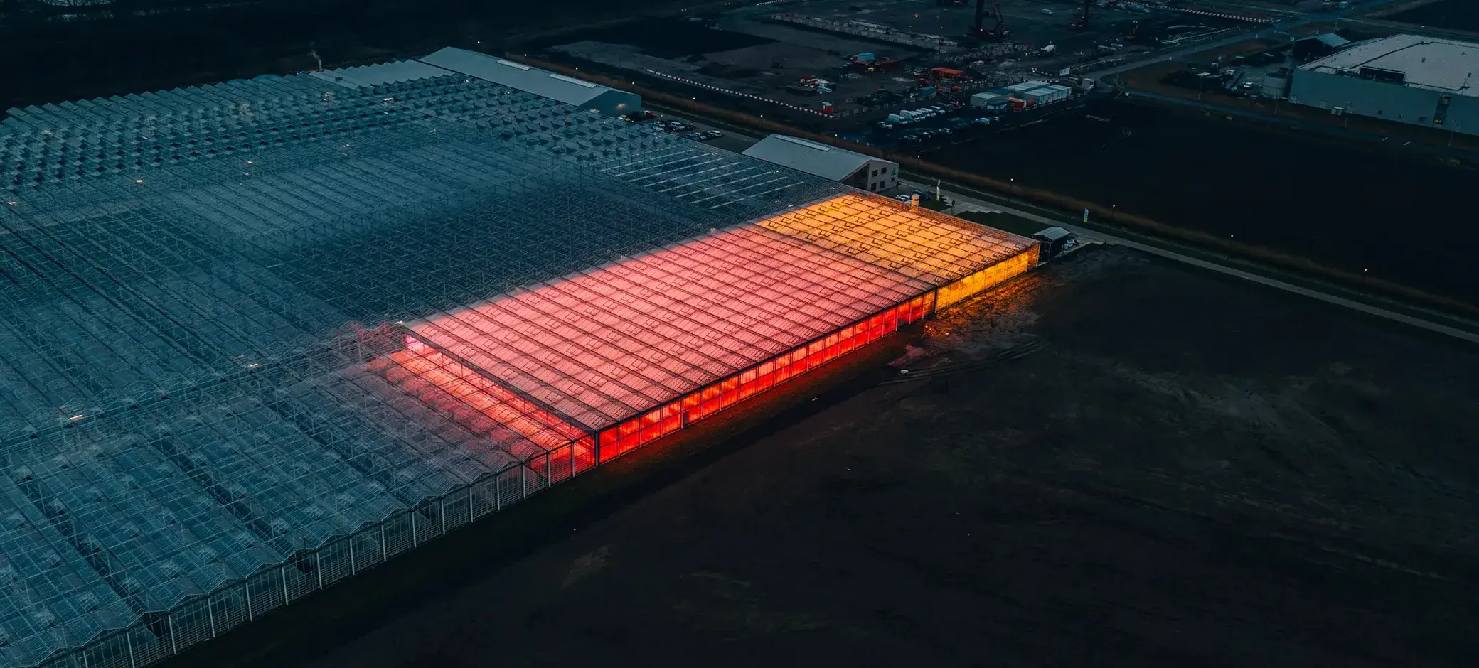 Digital asset management at Rijk Zwaan | Customers